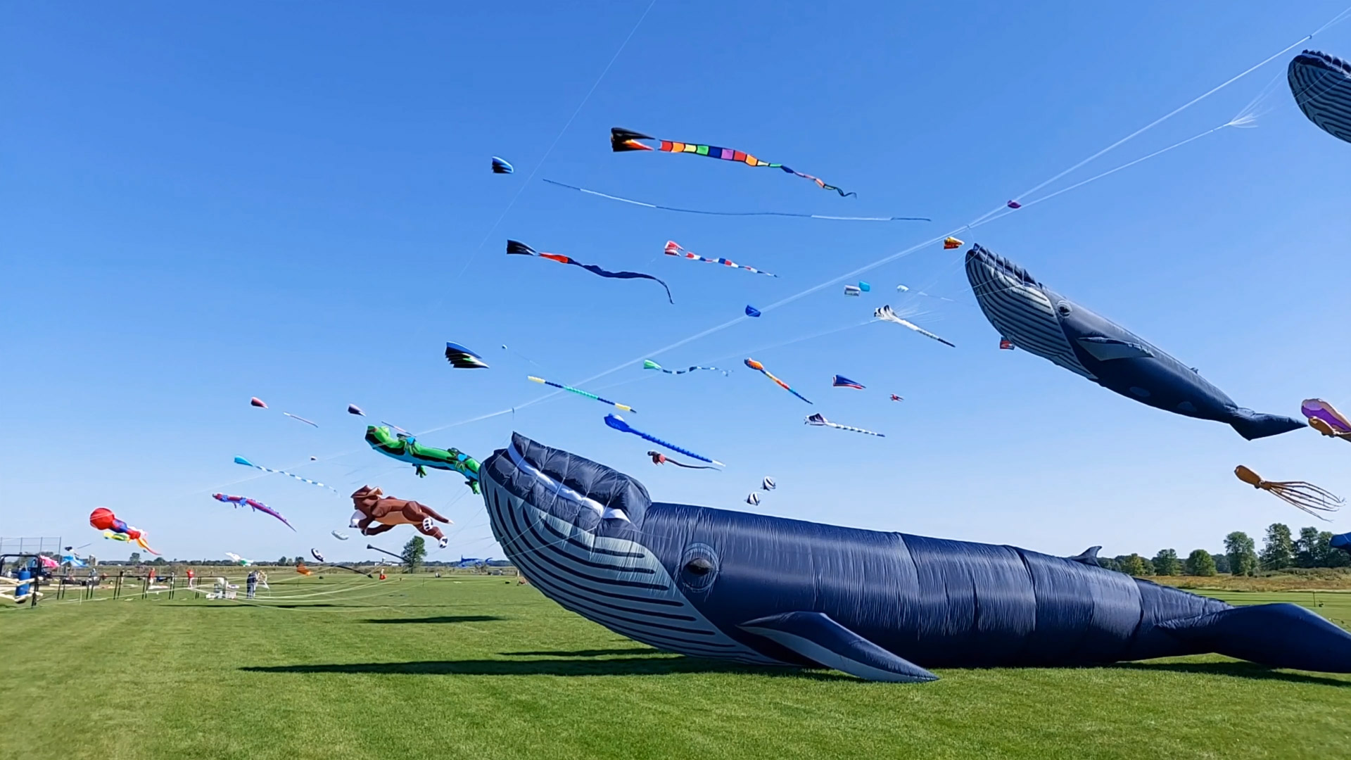 Requests – Wisconsin Kiters